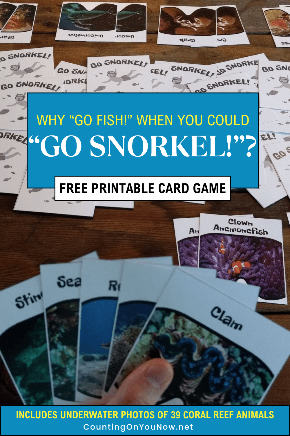 39 Coral Reef Animals Photographed for a Kinder Card Game: "Go Snorkel ...