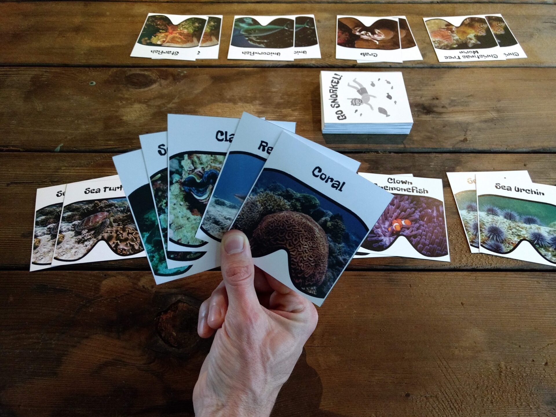 39 Coral Reef Animals Photographed for a Kinder Card Game: "Go Snorkel!" - Counting On You Now